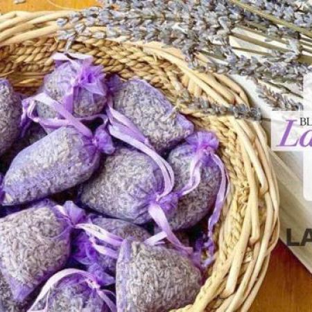 Bloom & Wild Lavender Sachet Bag 10 g - Makhsoom