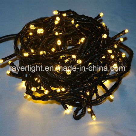 Mini Green Cord String Christmas Light 100 Gold Led - Makhsoom